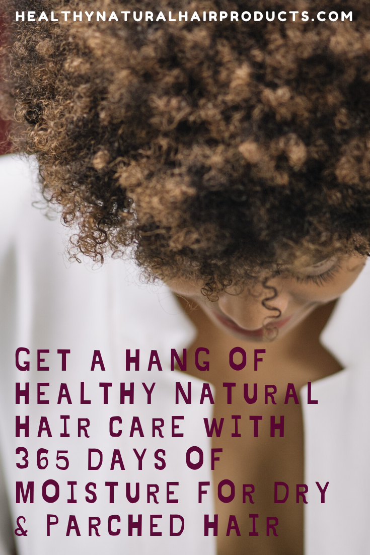 Get a Hang of Healthy Natural Hair Care with 365 Days of Moisture for ...
